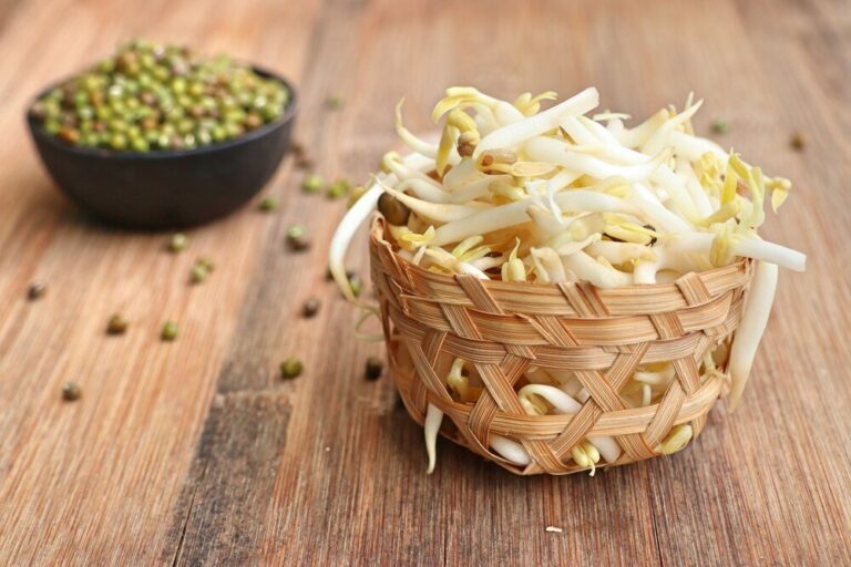 Kiełki fasoli mung - zastosowanie i właściwości