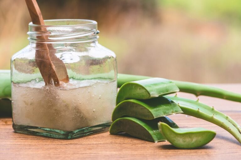 Aloes do picia - odkryj jego właściwości i efekty